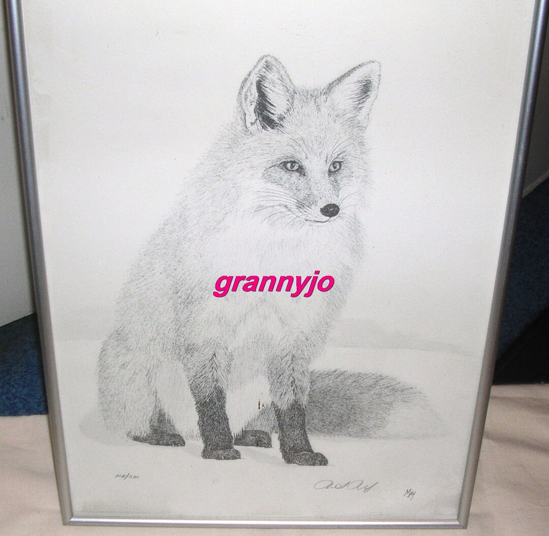 1990 Original Martin May Pen & Ink Print, Black Footed Fox, Hand Signed ...