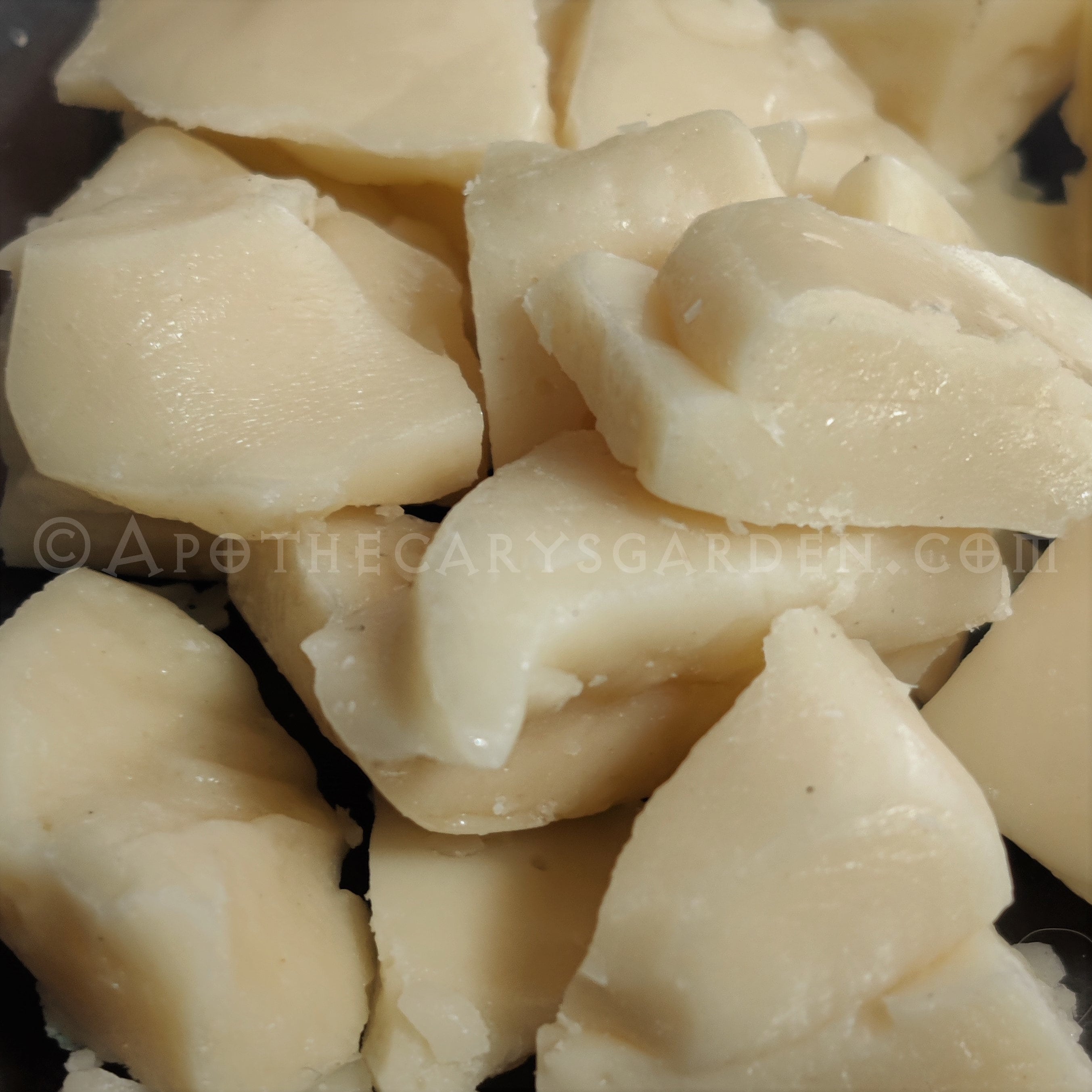 Chicle-traditional Chewing Gum-natural Chewing Gum-aztec-inca - Etsy Canada