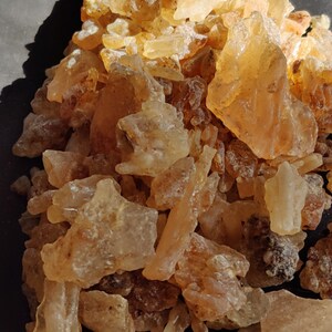 Kauri Copal-borneo Kauri-for Incense-craft and Art-agathis Borneensis ...