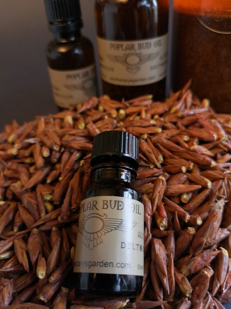 Balm of Gilead-poplar Bud Oil-cottonwood Oil-quebec | Etsy