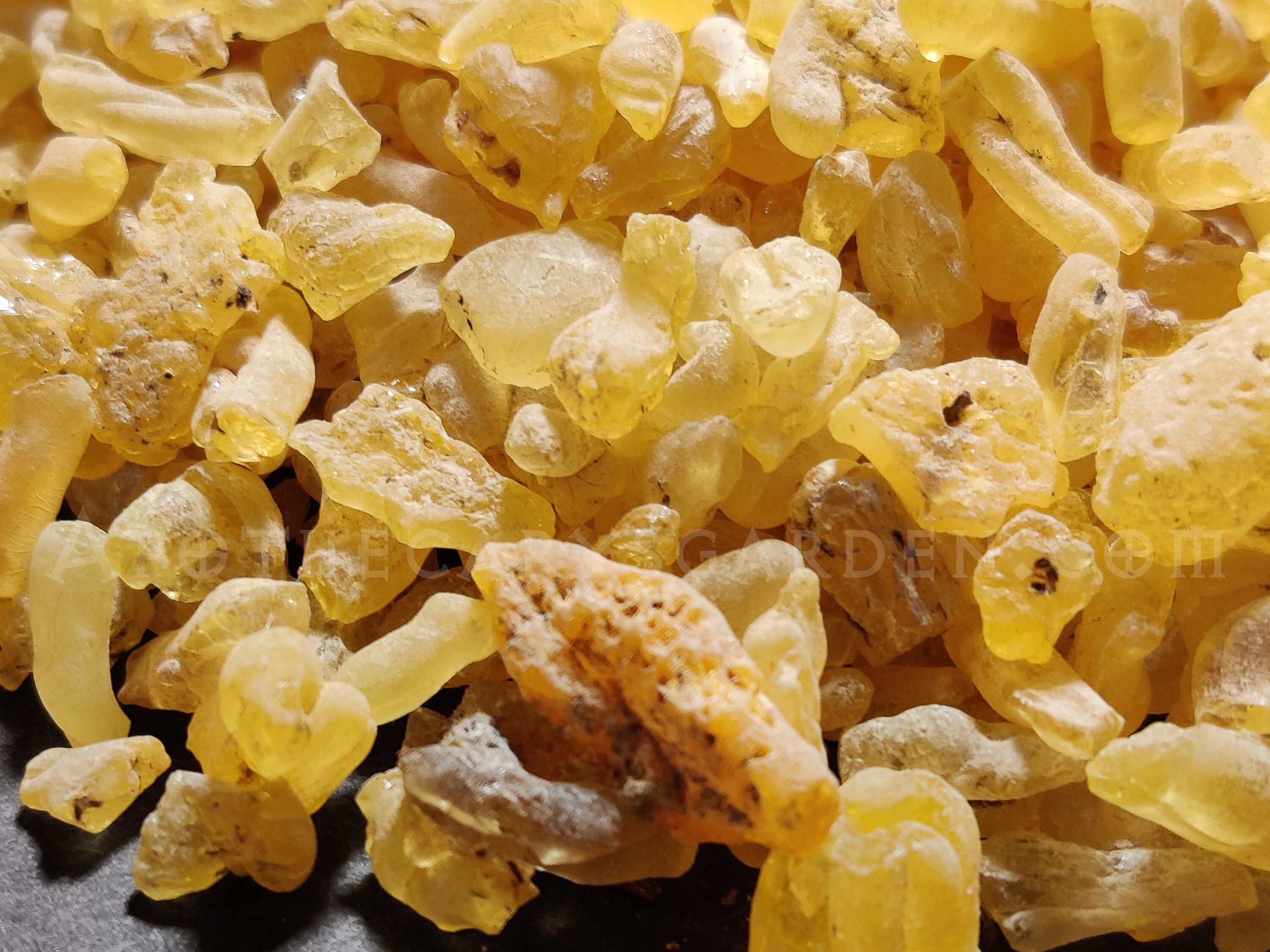 Sandarac Resin Tears-For perfume Incense & traditional | Etsy