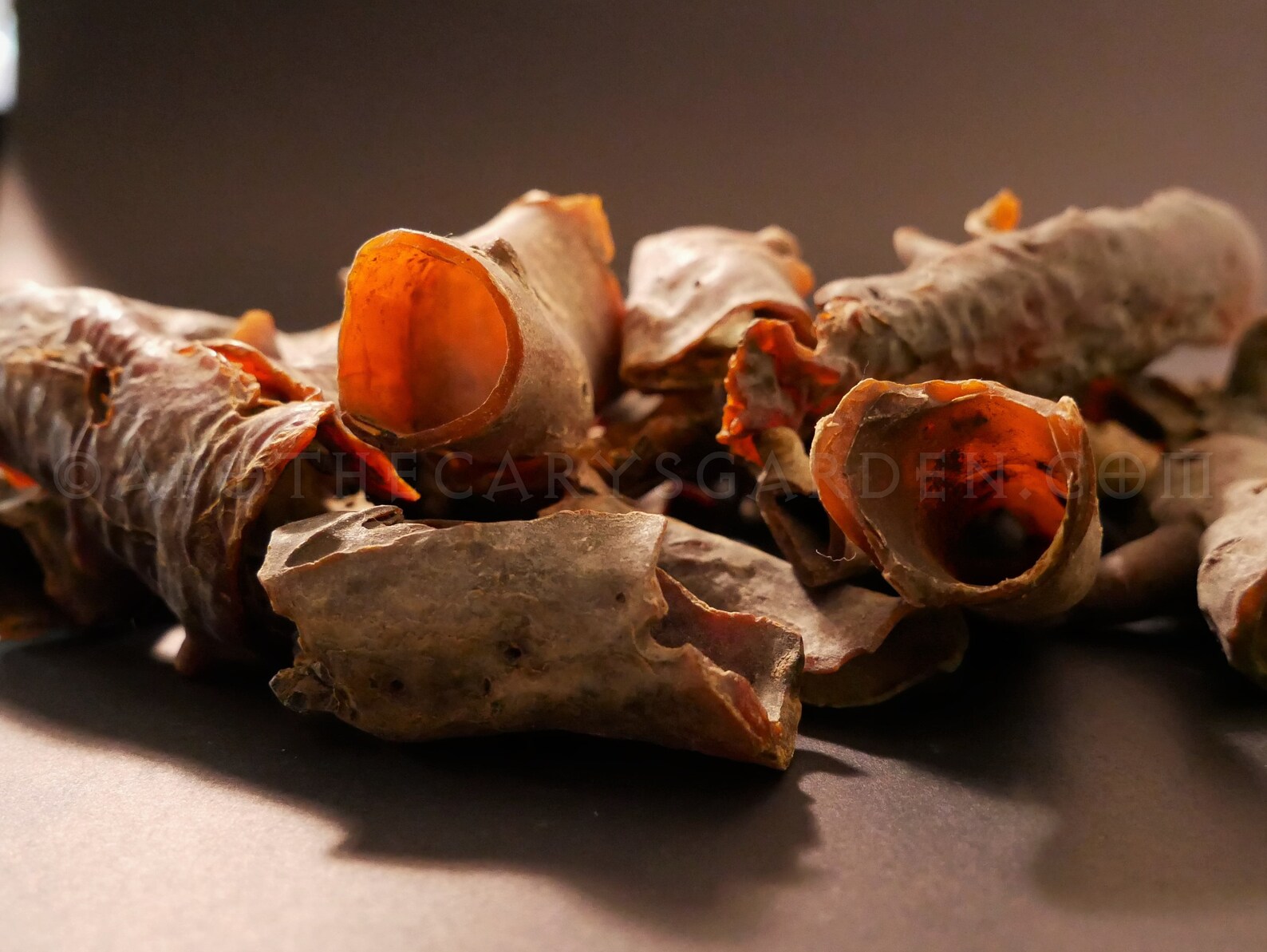 Bushman's Candle Bark-a Beautiful Amber Aroma-sustainable - Etsy Canada