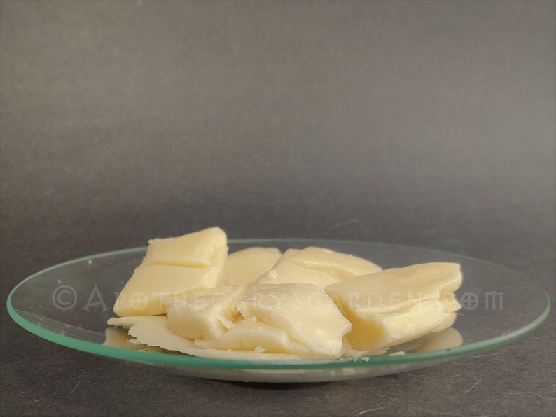 Chicle-traditional Chewing Gum-natural Chewing Gum-aztec-inca - Etsy