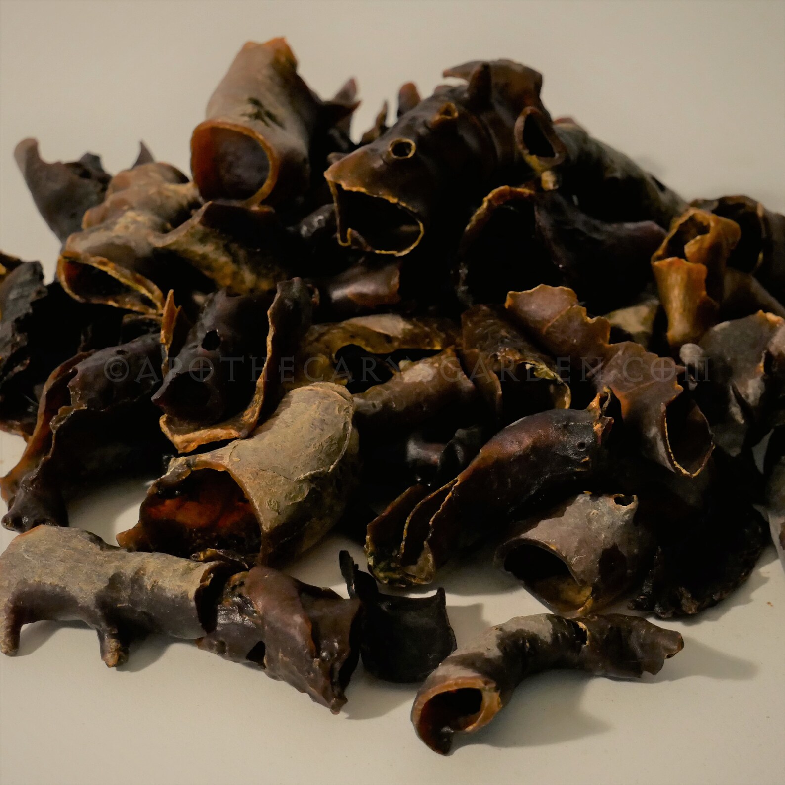 Bushman's Candle Bark-a Beautiful Amber Aroma-sustainable - Etsy Canada