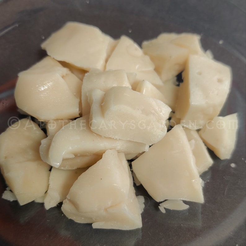 Chicle-traditional Chewing Gum-natural Chewing Gum-aztec-inca - Etsy