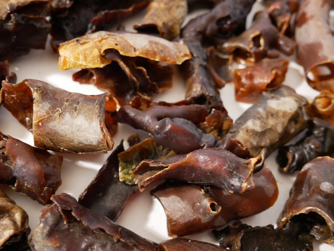 Bushman's Candle Bark-a Beautiful Amber Aroma-sustainable - Etsy Canada