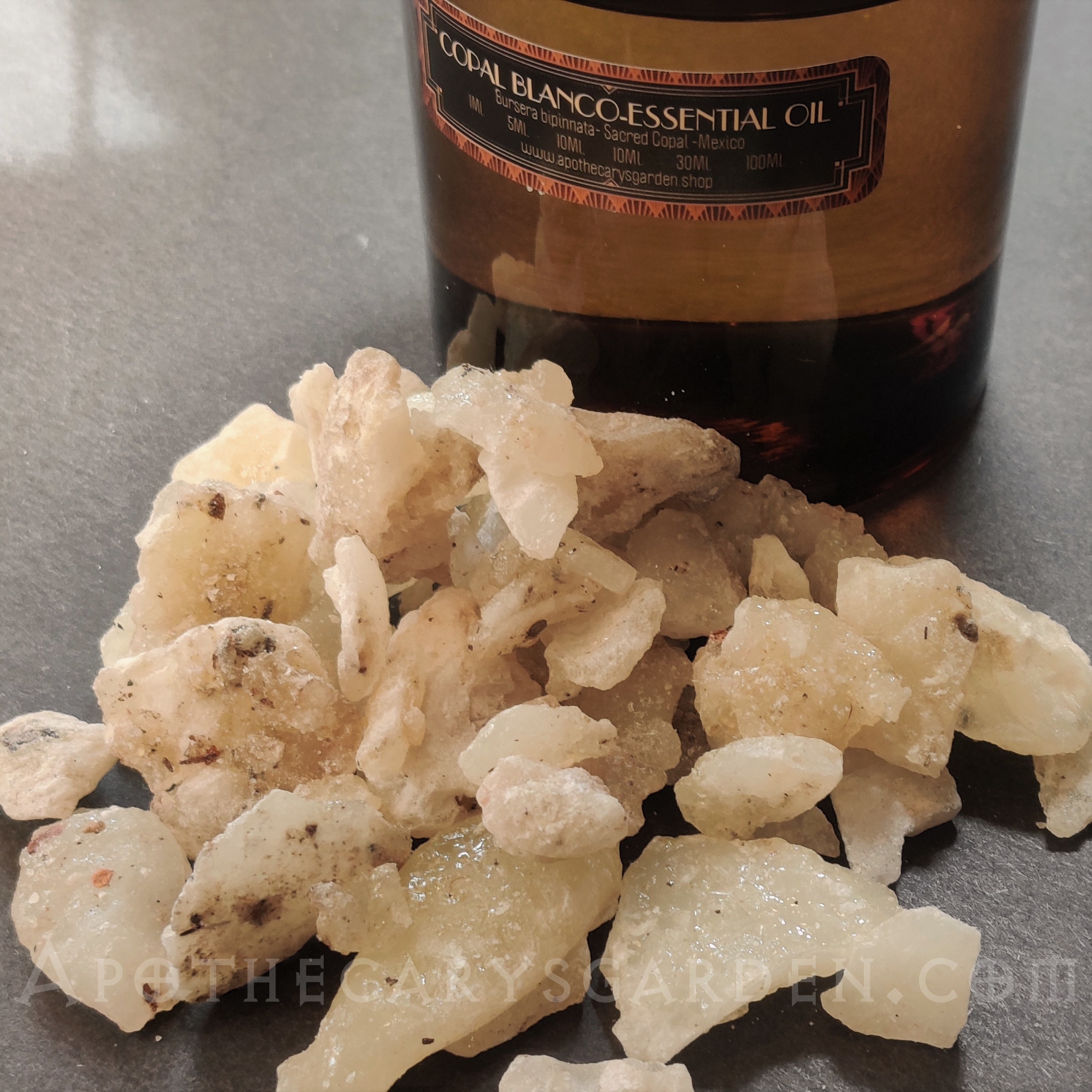 Copal Blanco-Essential Oil-RARE-Sacred Copal-Bursera | Etsy