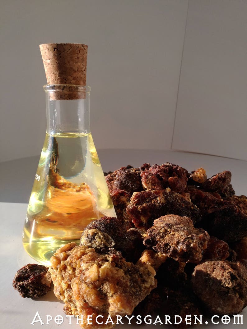Opoponax Essential Oil Scented Myrrh Commiphora Guidotti Sweet Etsy