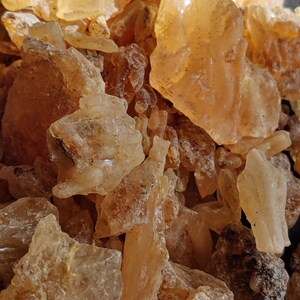 Kauri Copal-borneo Kauri-for Incense-craft and Art-agathis Borneensis ...