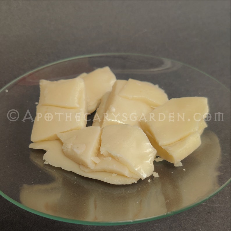 Chicle-traditional Chewing Gum-natural Chewing Gum-aztec-inca - Etsy