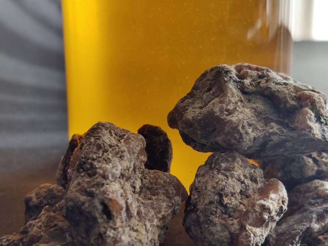 Siberian Cedar Oleo-extract. Pinus Siberica-a Traditional Oil Extract ...