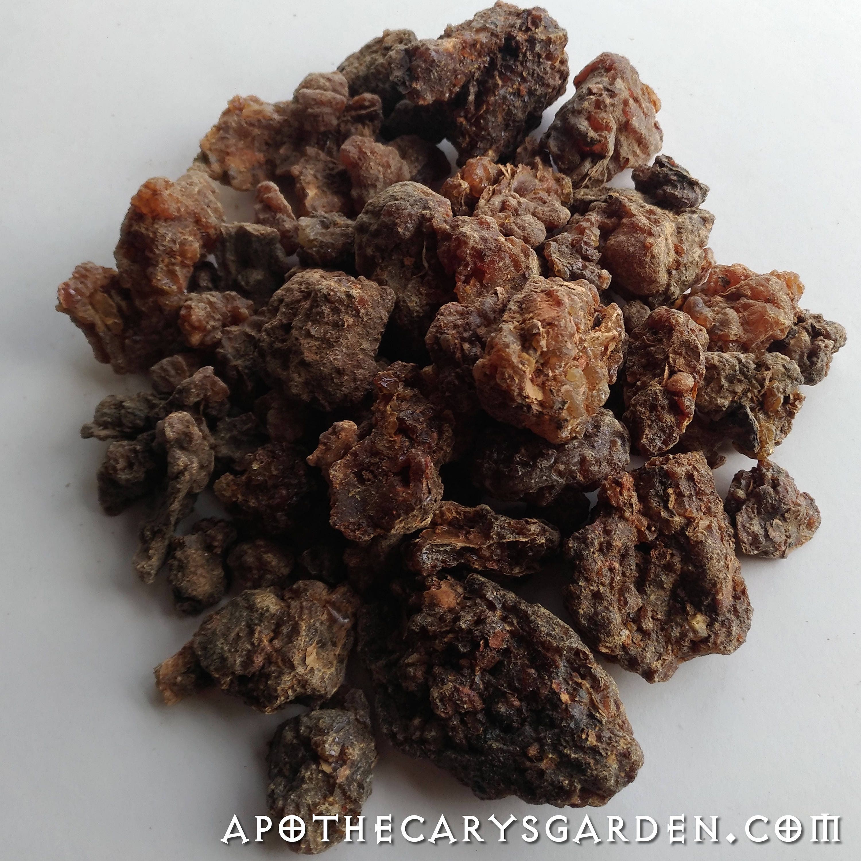 Fresh Fragrant Myrrh-ethiopia-commiphora Myrrha-for Incense - Etsy Canada