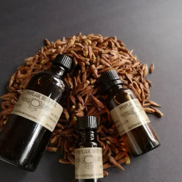 Poplar - Etsy