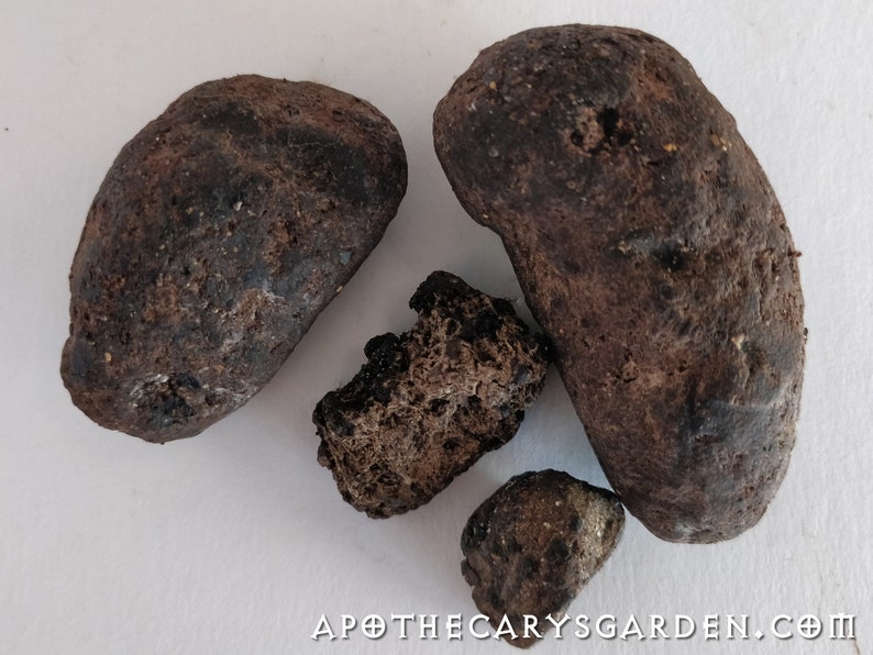 Musk-animalic Collection-6 Classic Natural Musk Perfume - Etsy UK