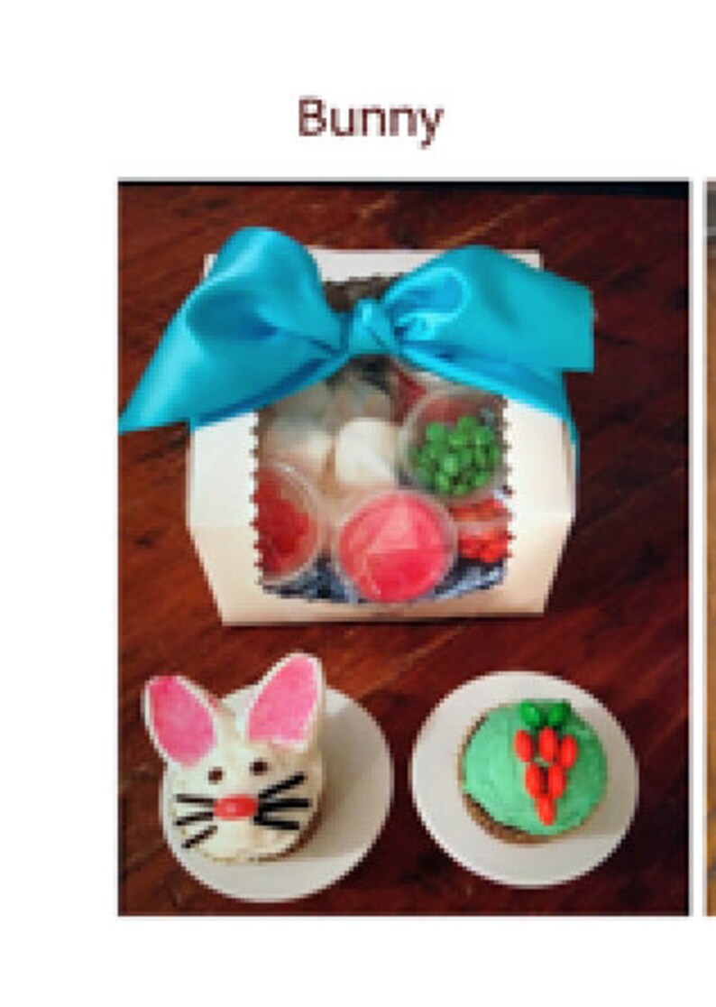 Virtual Cupcake Decorating Birthday Party for 5 in A Box to Go - Etsy