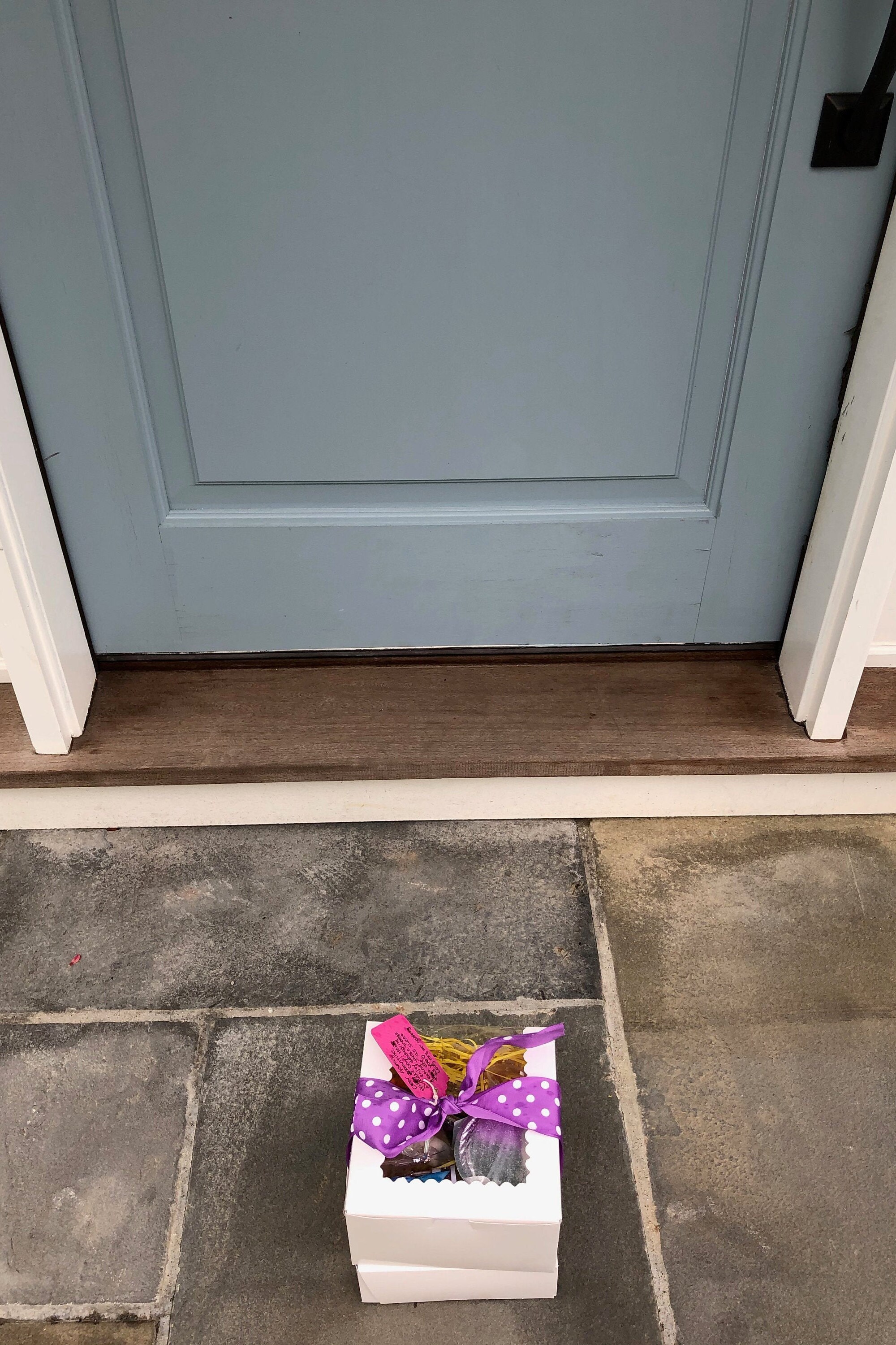 Virtual Cupcake Decorating Birthday Party for 5 in A Box to Go - Etsy