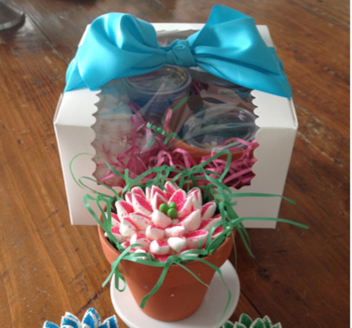 Virtual Cupcake Decorating Birthday Party for 5 in A Box to Go - Etsy