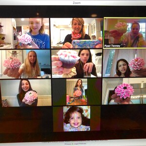 Virtual Cupcake Decorating Birthday Party for 5 in A Box to Go - Etsy