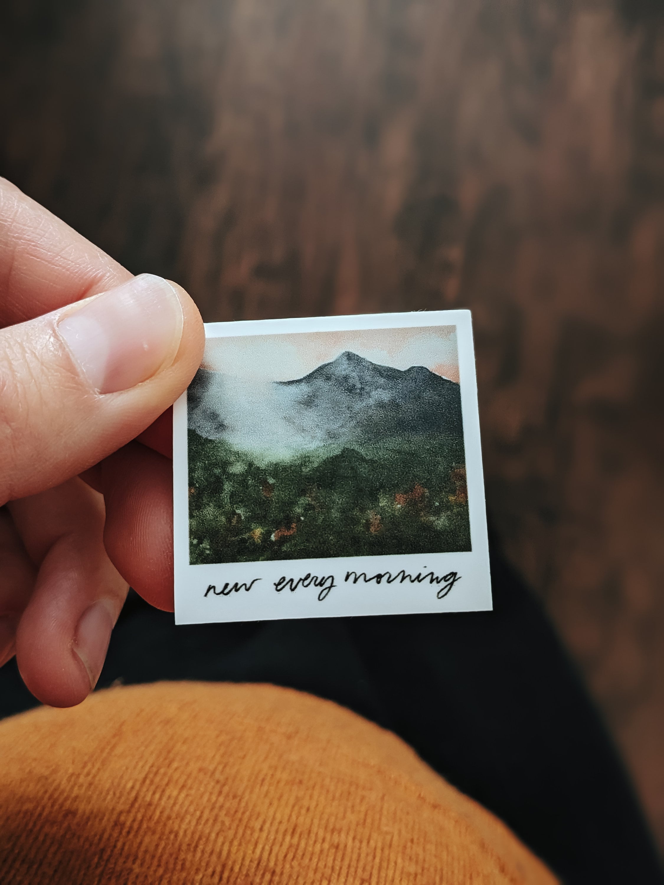 Bible Verse Stickers Vinyl Sticker Water Bottle Stickers Whimsical ...