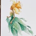 Daffodil Flower Fae Art Print | Fairy Art | Illustration | March Birth ...
