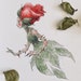 Rose Flower Fae Art Print | Fairy Art | Illustration | June Birth ...