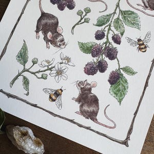 Blackberry Mice Art Print | Nature Art | Animal Art | Fairy Tale ...
