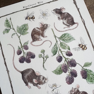 Blackberry Mice Art Print | Nature Art | Animal Art | Fairy Tale ...