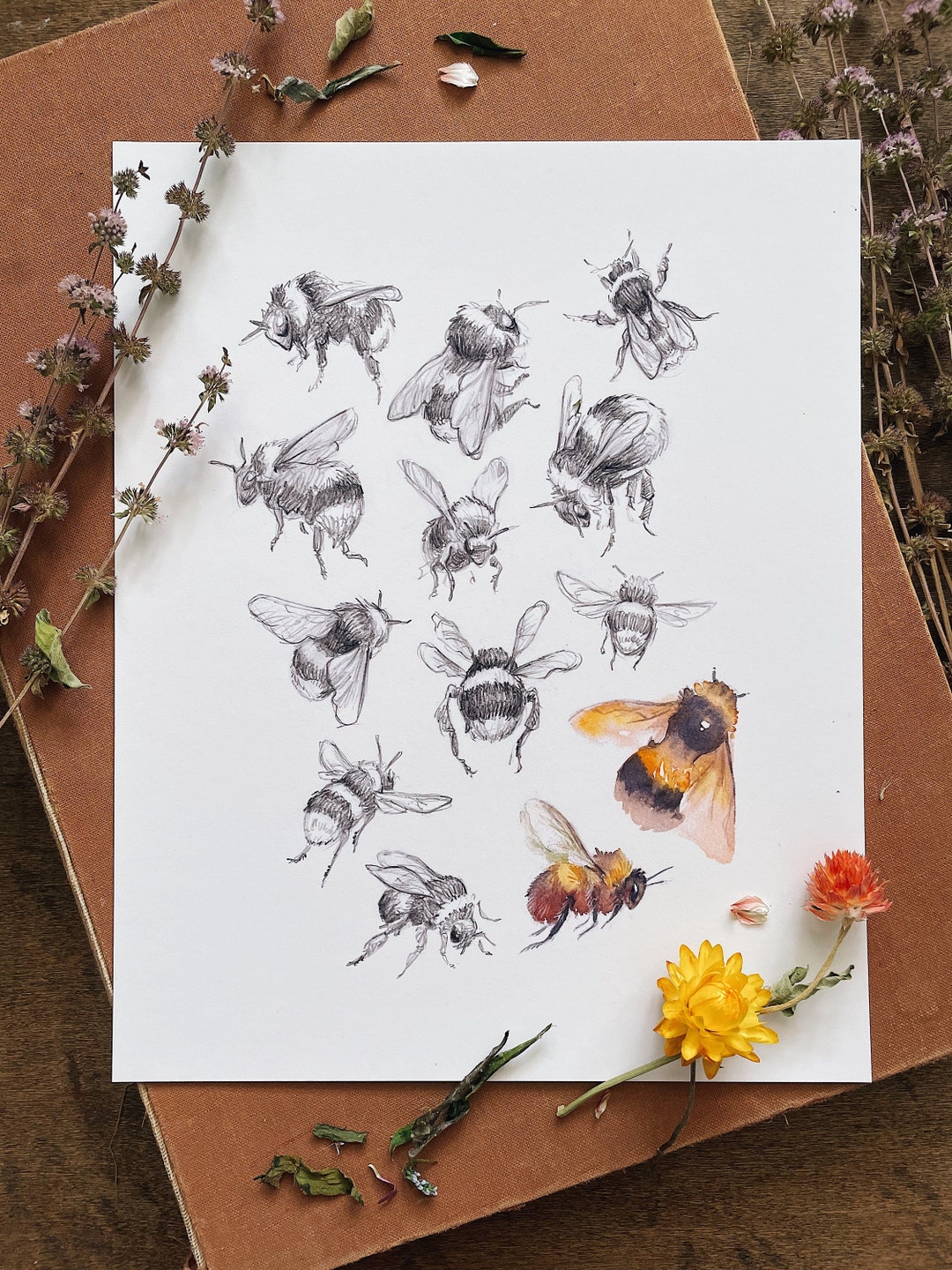 Busy Bees Art Print | Nature Art | Illustration | Bee | Signed Print ...