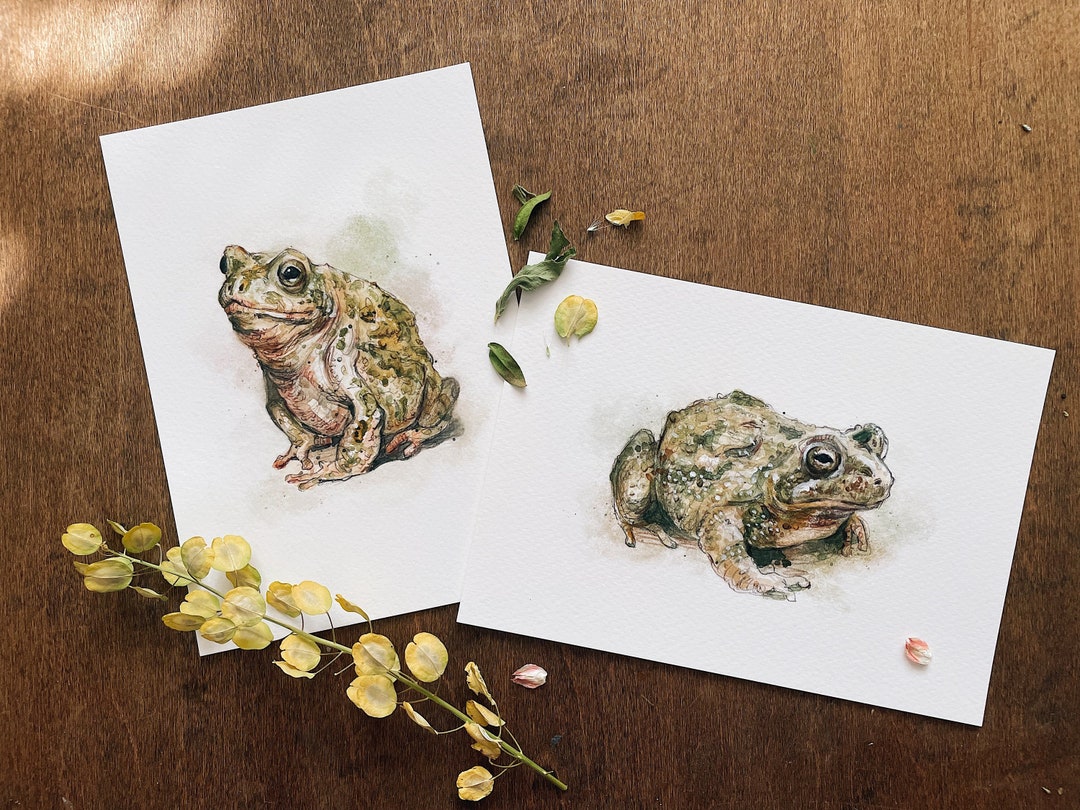 Toady Toads Set of 2 Art Prints | Nature Art | Illustration | Animal ...