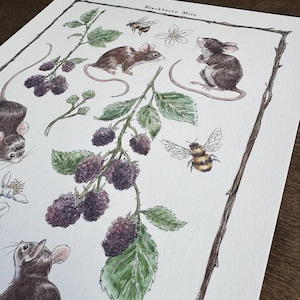 Blackberry Mice Art Print | Nature Art | Animal Art | Fairy Tale ...