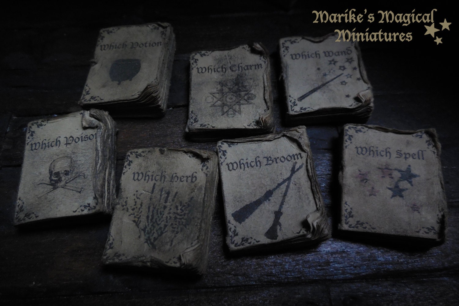 Spell Book 'which ....potion/spell/herb/charm/poison/wand/broom/owl ...