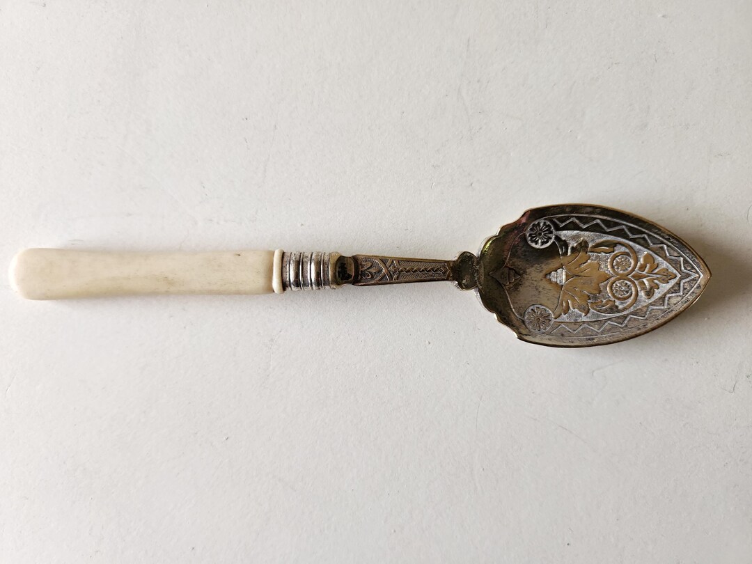 Antique Aesthetic Etched Preserve Spoon With Faux Celluloid Handle - Etsy