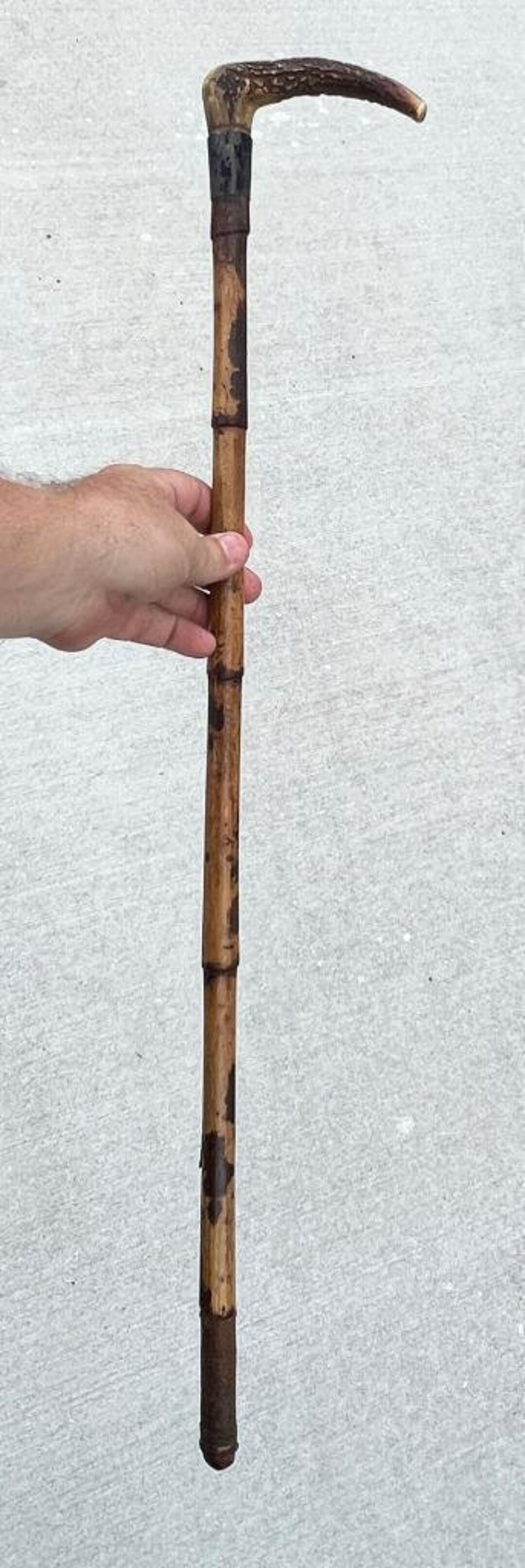 Antique Old English Sterling Silver Ferule Stag Horn Cane Handle Riding ...