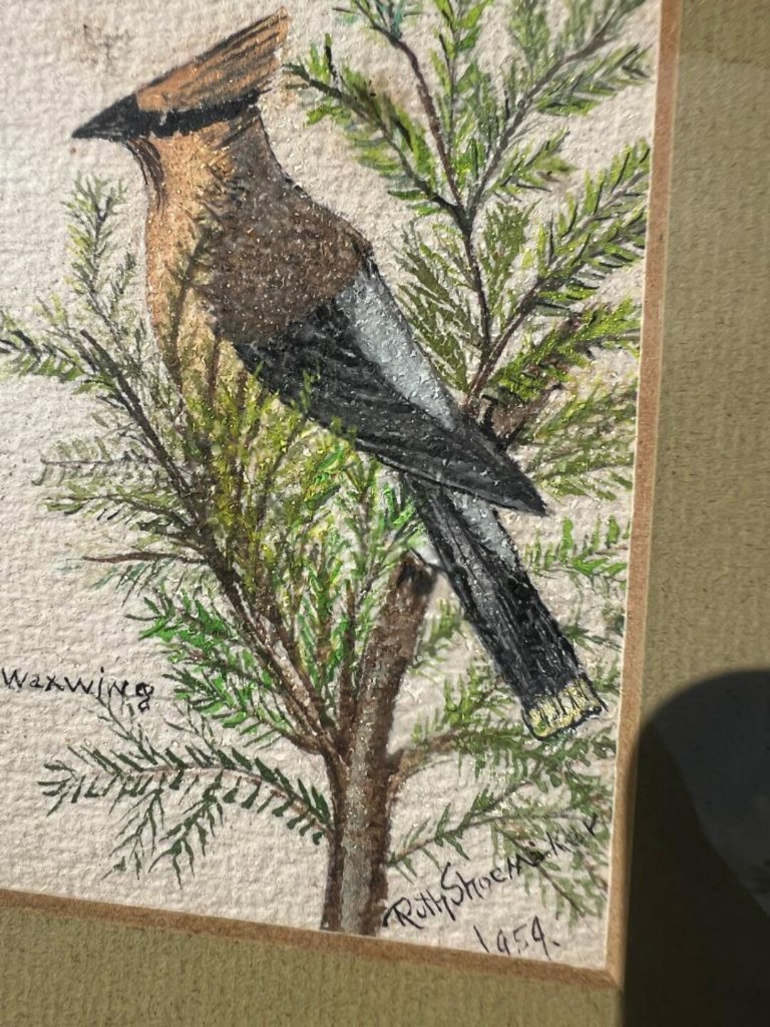 Vintage Original Art Watercolor Bird Painting Cedar Waxwing Ruth ...
