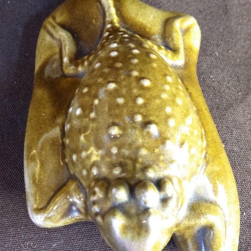 Horned Toad - Etsy