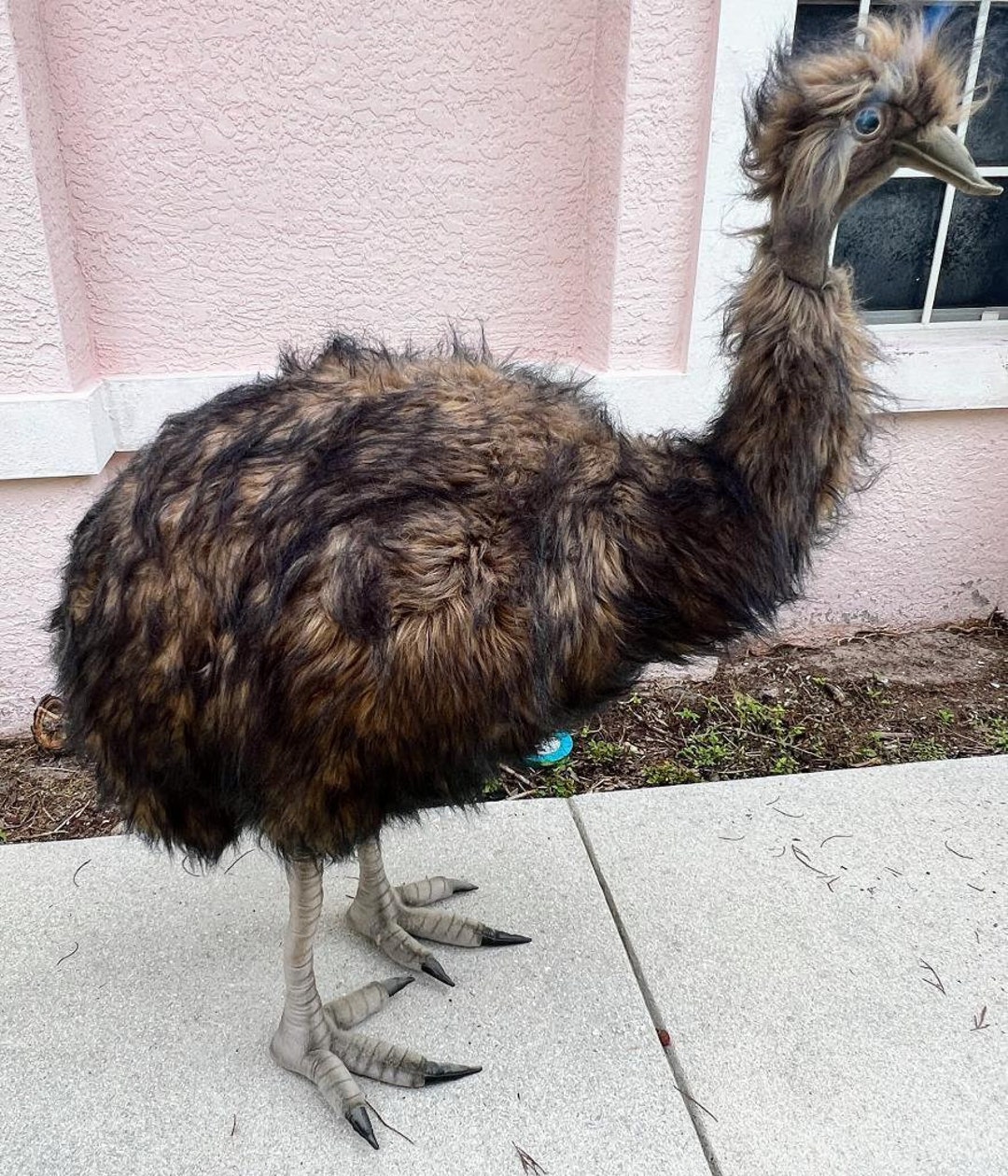 Hansa Creations Emu Bird Life Size 50 Plush Stuffed - Etsy