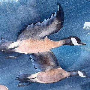Vintage Framed Watercolor Art Painting of Birds Canadian Geese Goose ...