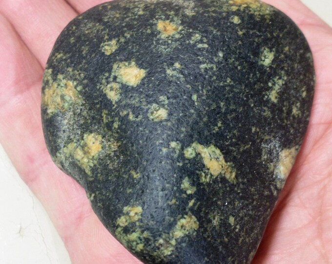 Unpolished Porphyritic Basalt Porphyry Spotted Palm Stone From Lake ...