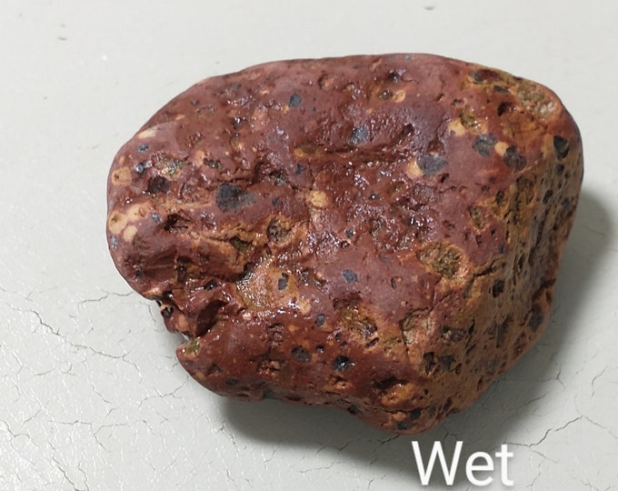 Amygdaloidal Rhyolite Stone From Lake Michigan, Wisconsin Natural Beach ...