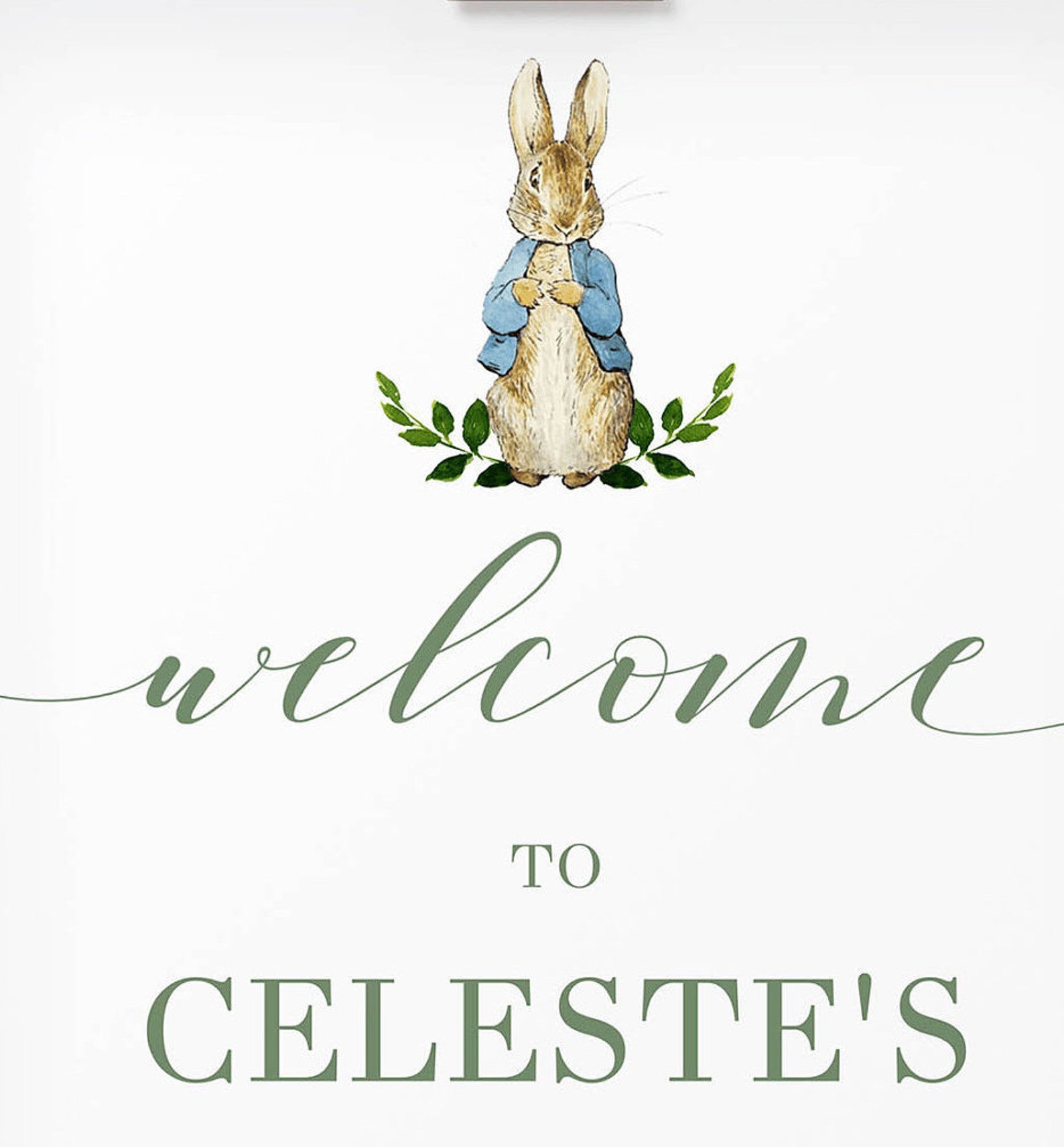 Peter Rabbit Sign Any Event Peter Rabbit Baby Shower Sign | Etsy