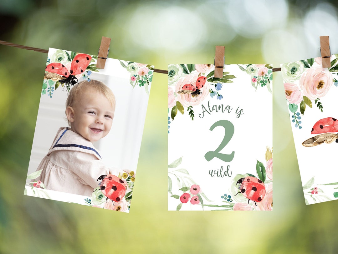 Ladybird Birthday Banner Lady Bug Birthday Spring Birthday Baner Little ...