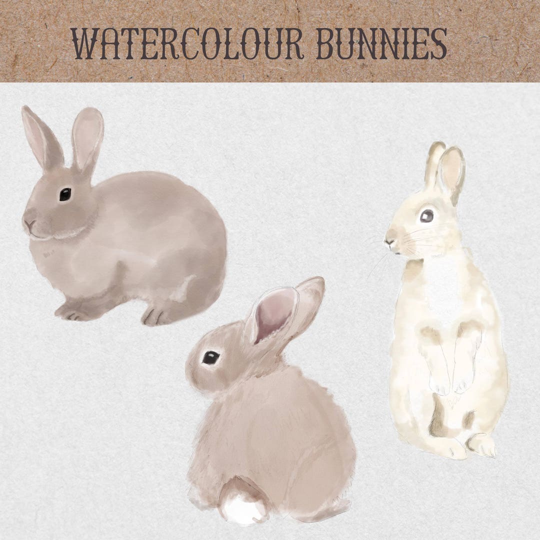 Bunny Rabbits Clipart Digital Watercolour Style PNG Downloadable ...