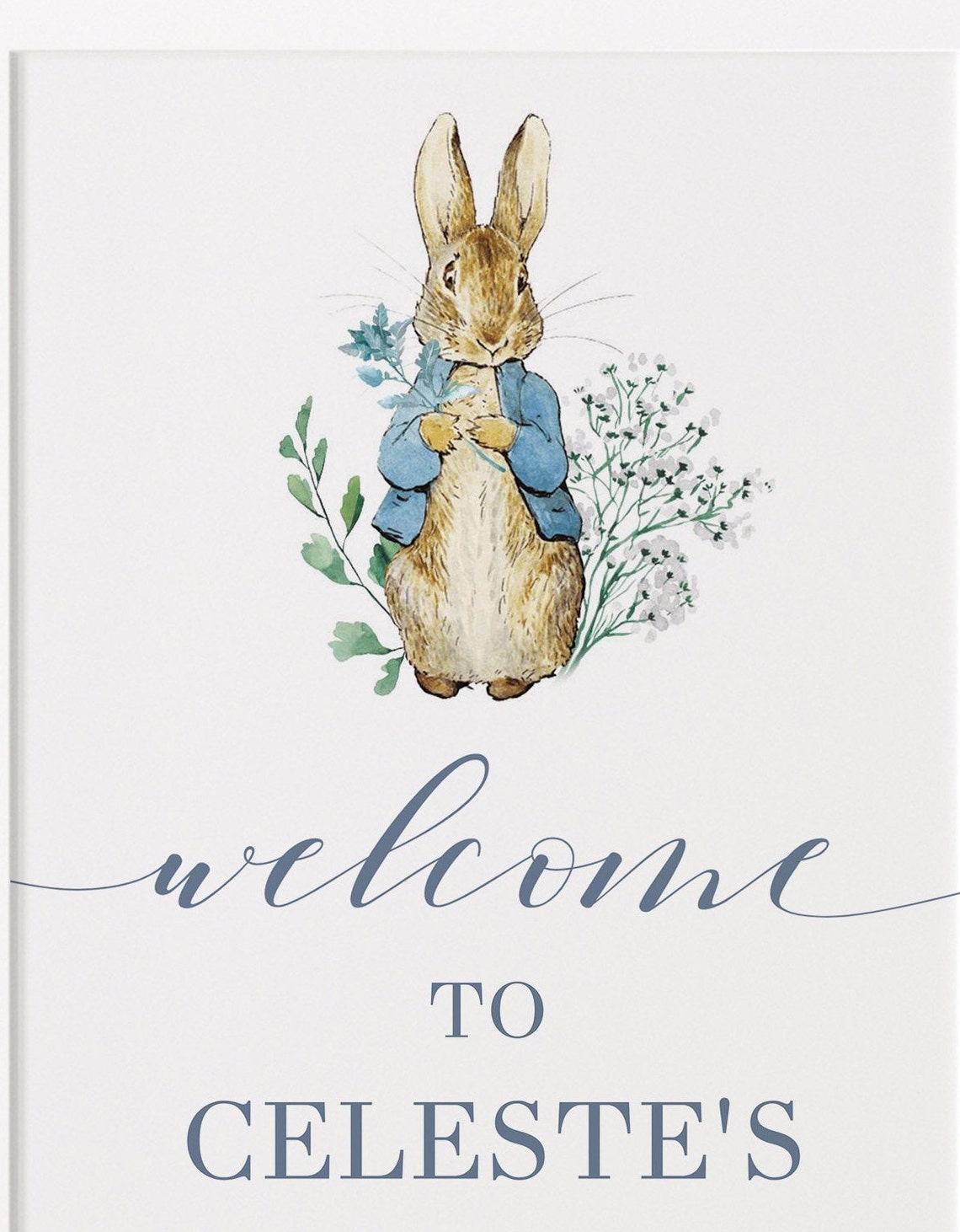 Peter Rabbit Welcome Sign Digital Peter Rabbit Baby Shower | Etsy