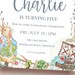 Peter Rabbit Invitation Peter Rabbit Picnic Invitation Peter Rabbit ...
