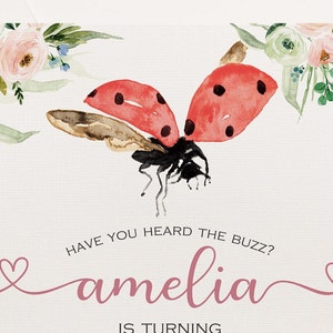 Love Bug Birthday Invitation | Lady Bug Birthday | Spring Birthday ...