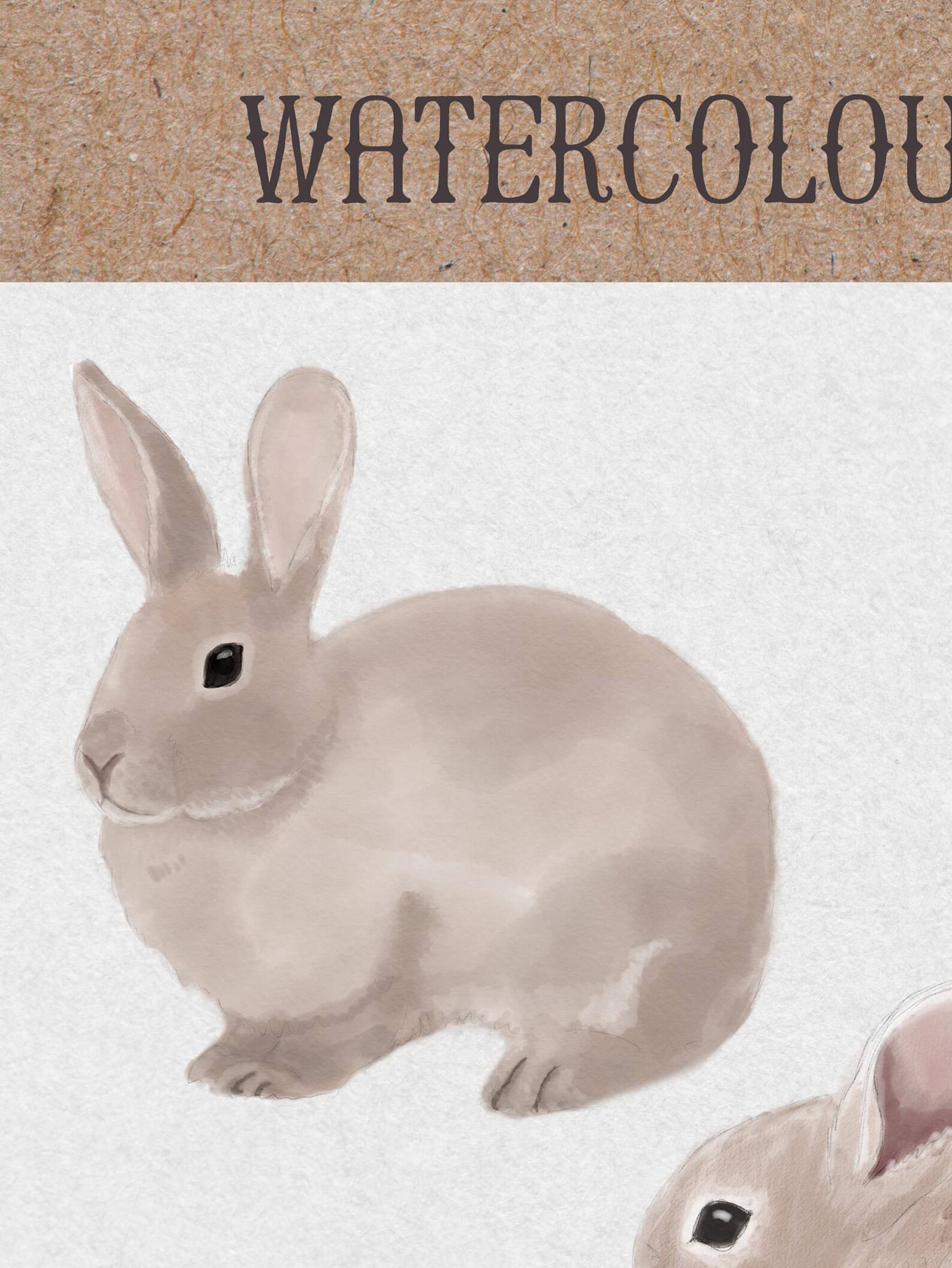 Bunny Rabbits Clipart Digital Watercolour Style PNG - Etsy