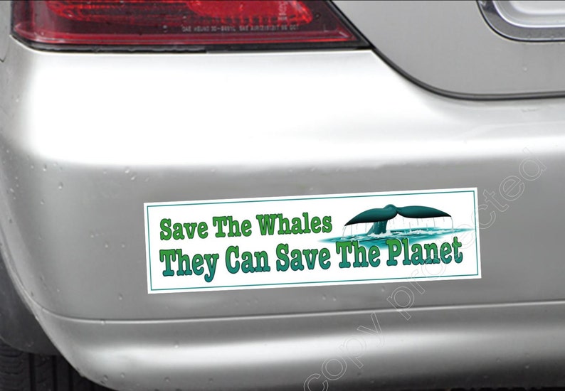 Funny bumper stickers Save the Whales. They Can Save The | Etsy