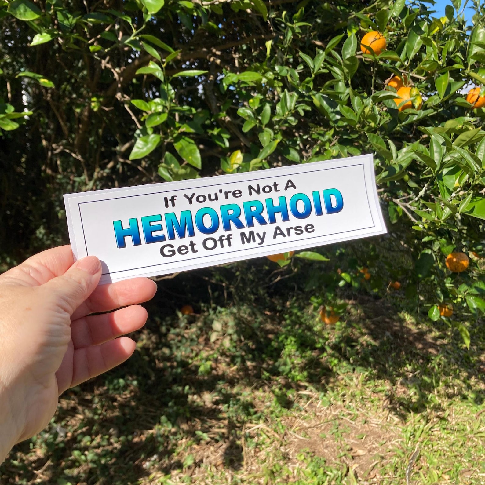 Funny Bumper Sticker If You're Not a Hemorrhoid Get off My Arse 200 Mm ...