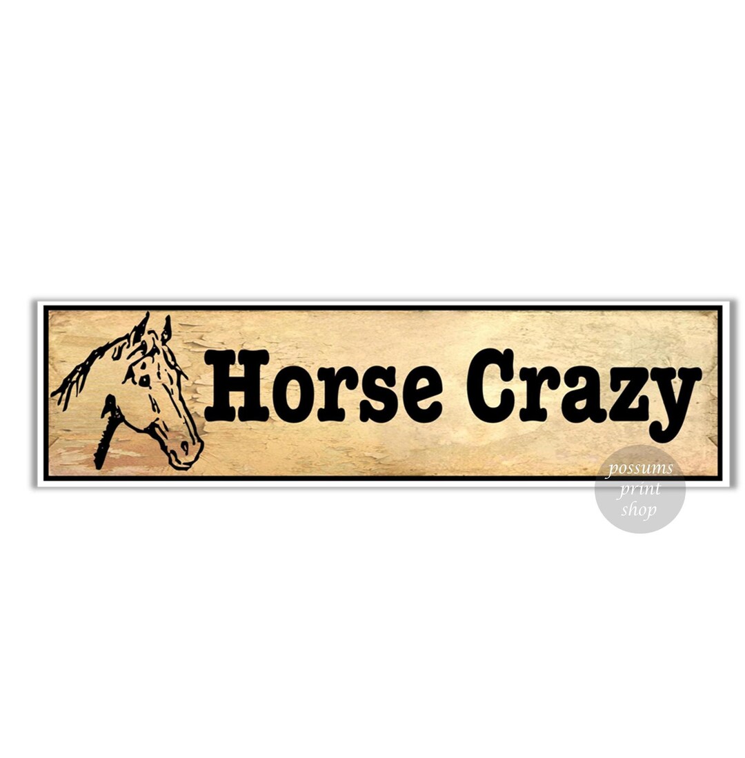Horse Crazy Bumper Sticker Vinyl Car Sticker for Anyone Who Loves ...