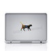 Cat Car Bumper Sticker / Decal. Colorful Walking Cat or Kitten. 125 Mm ...